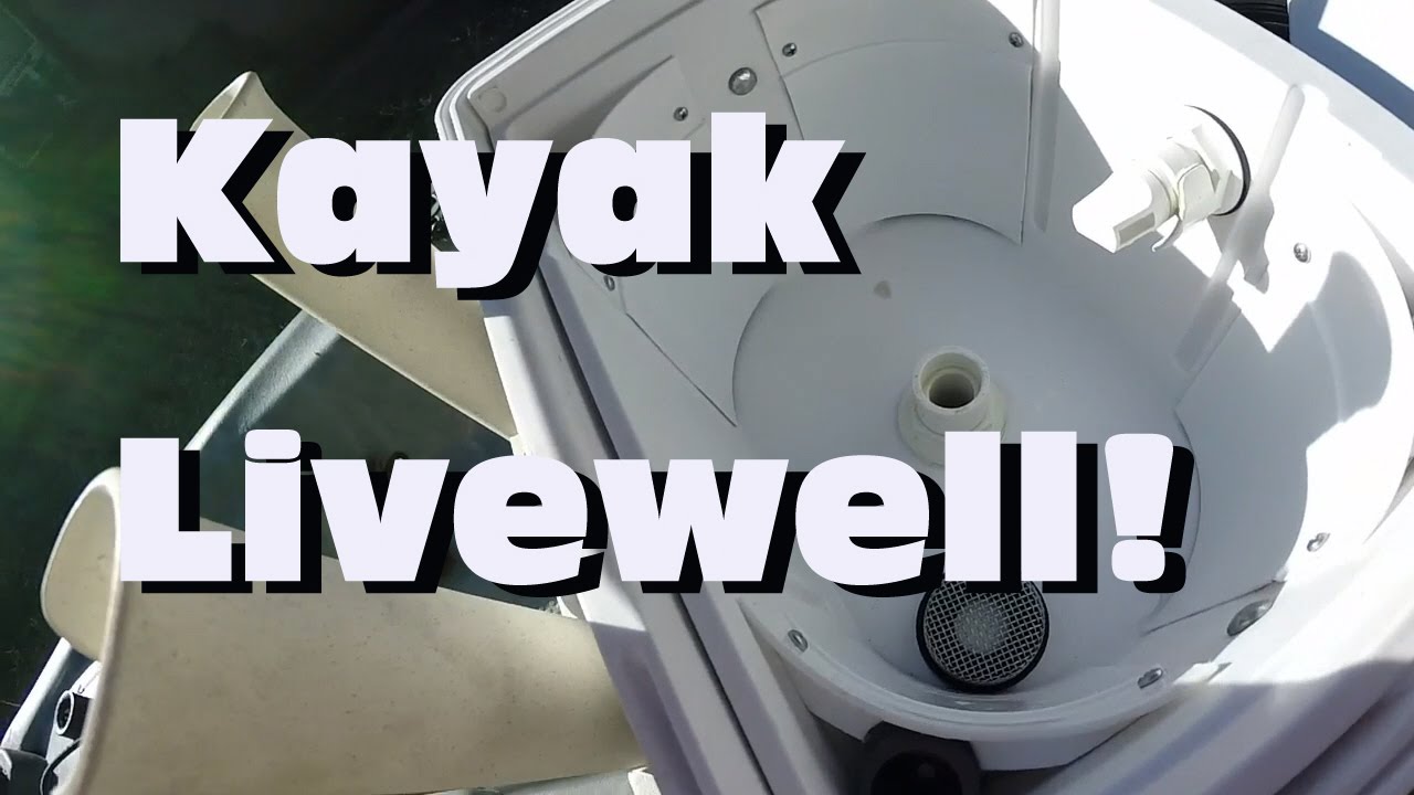 Homemade Kayak Livewell Tutorial Youtube