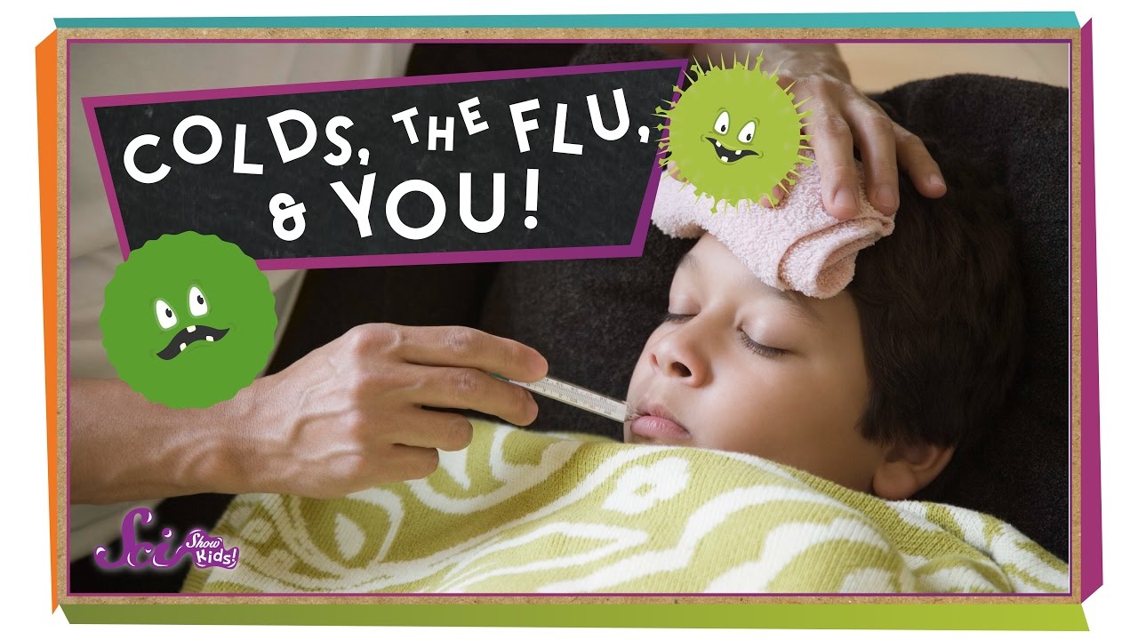 Colds The Flu And You Youtube