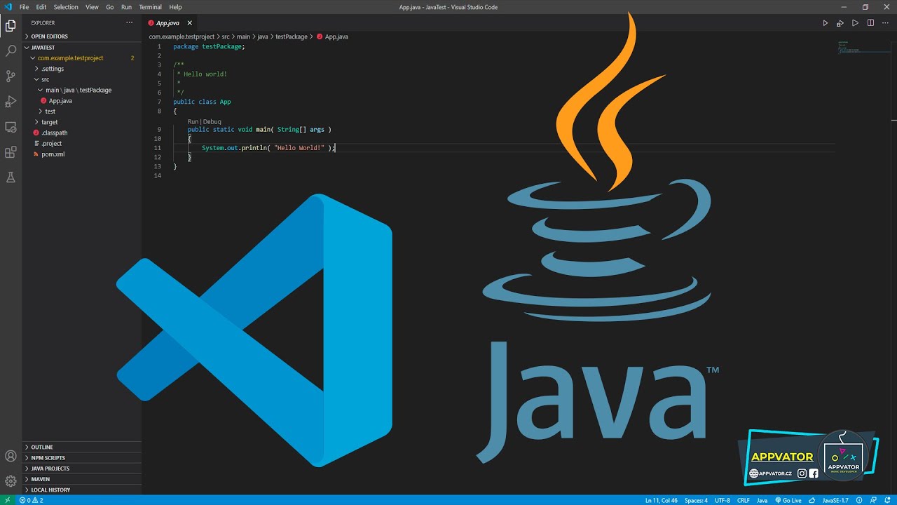 Visual Studio Code Java Run Configuration Environment Variables At