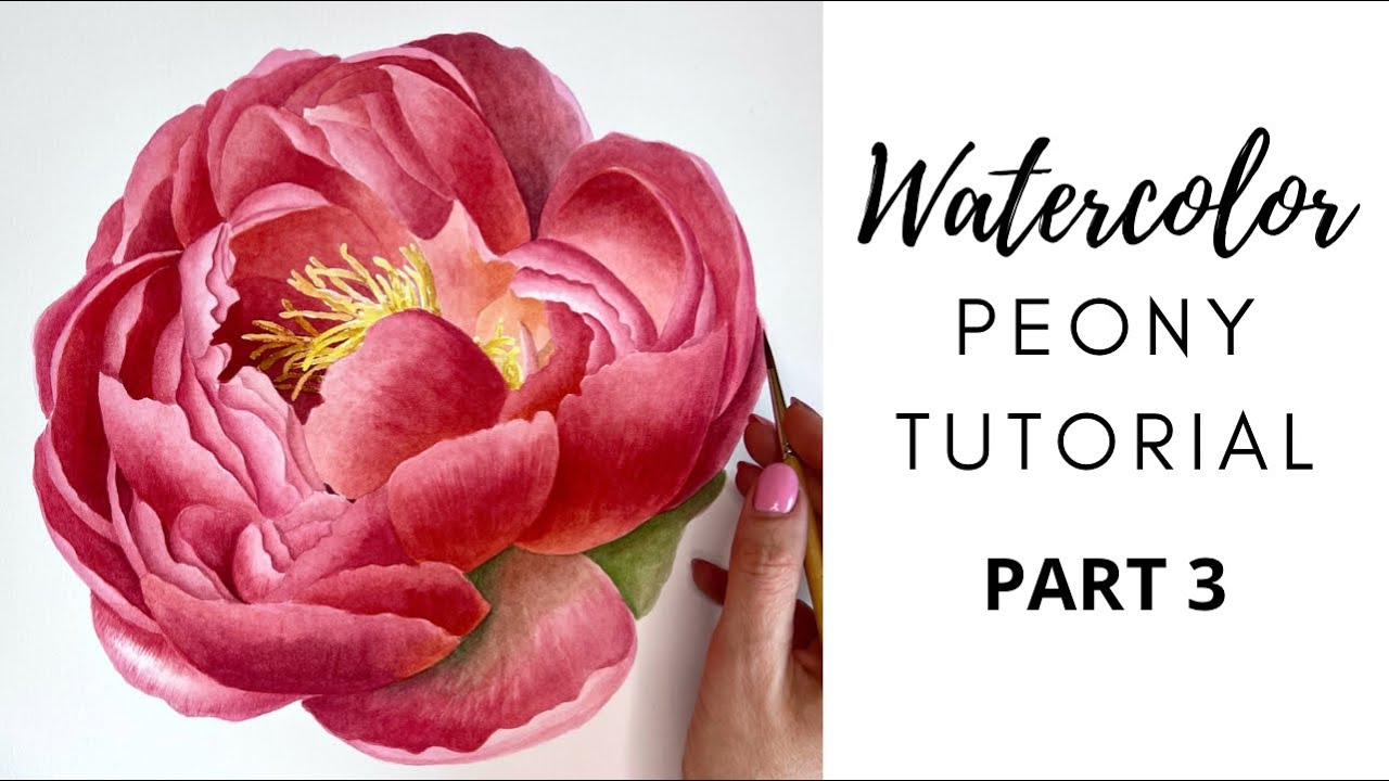Watercolor Peony Painting Tutorial рџ ђ Part 3 Large Peony Painting