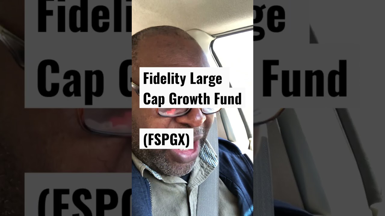 Dave Ramsey S Investment Strategy Fidelity Large Cap Growth Fund