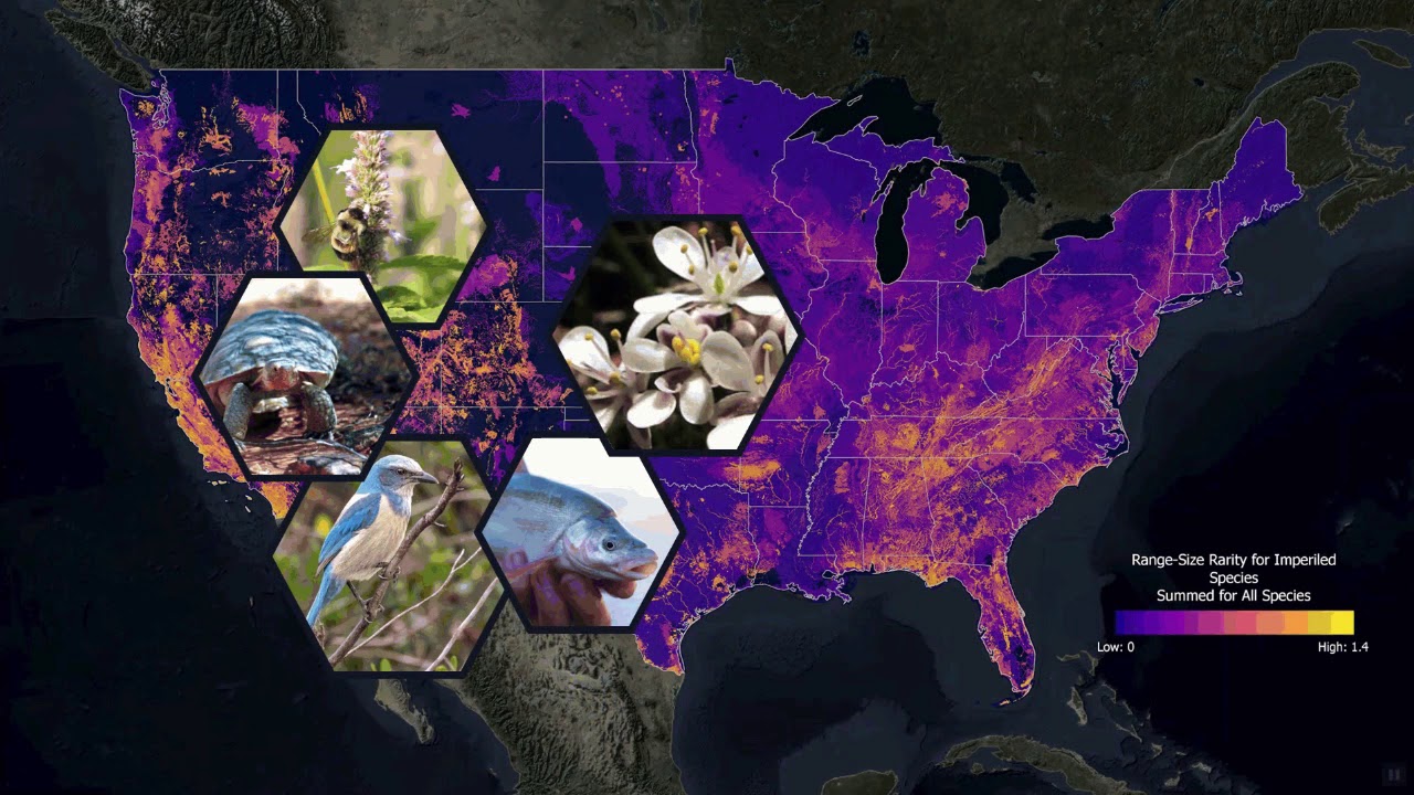 About Natureserve Youtube