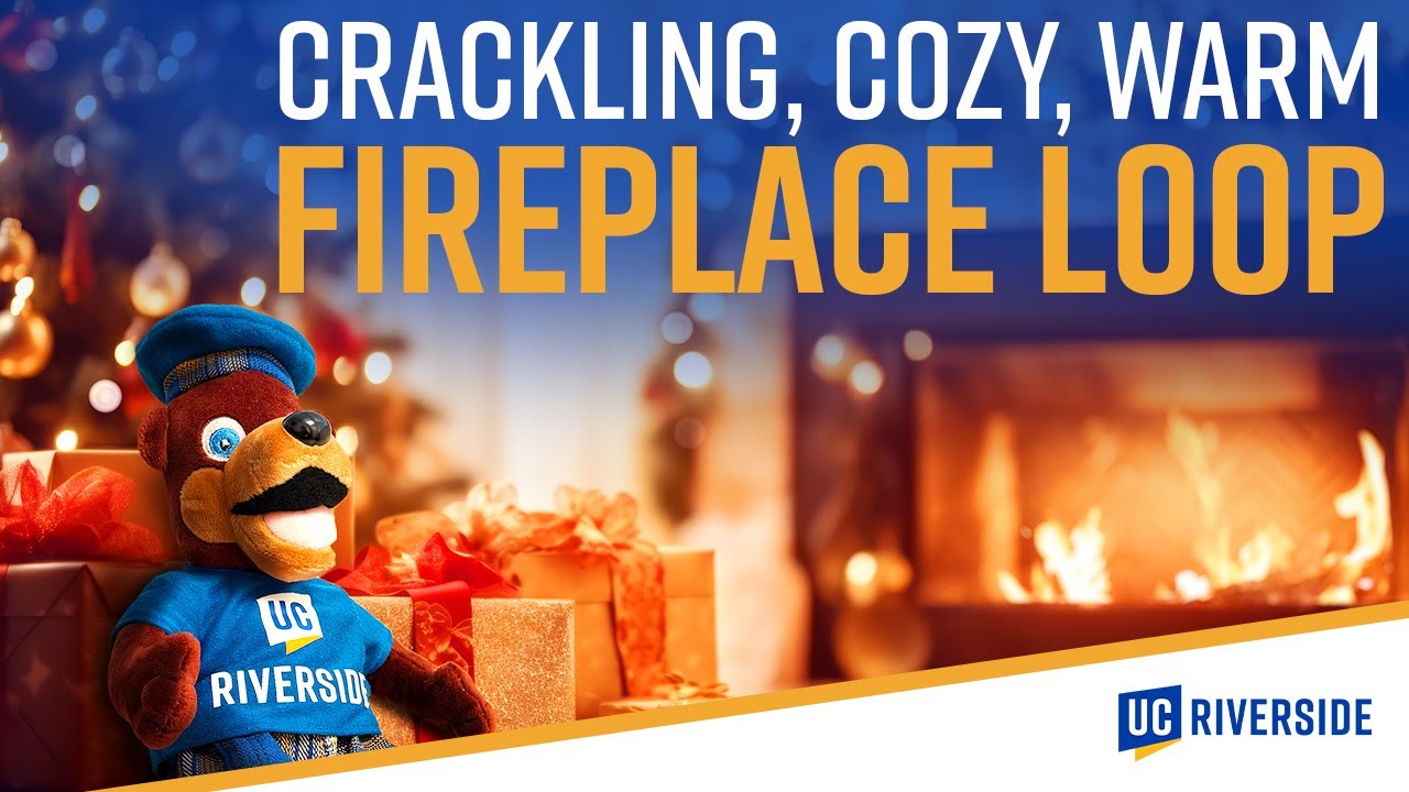 Cozy Fireside Vibes With Scotty Fireplace Background Loop Youtube