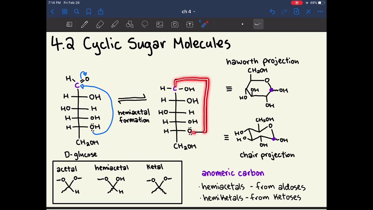 Mcat Biochemistry Ch 4 Carbohydrate Structure And Function Youtube