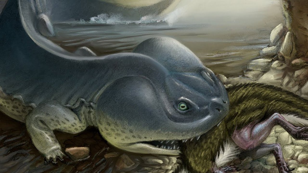 Koolasuchus The Antarctic Amphibian That Ate Dinosaurs Youtube
