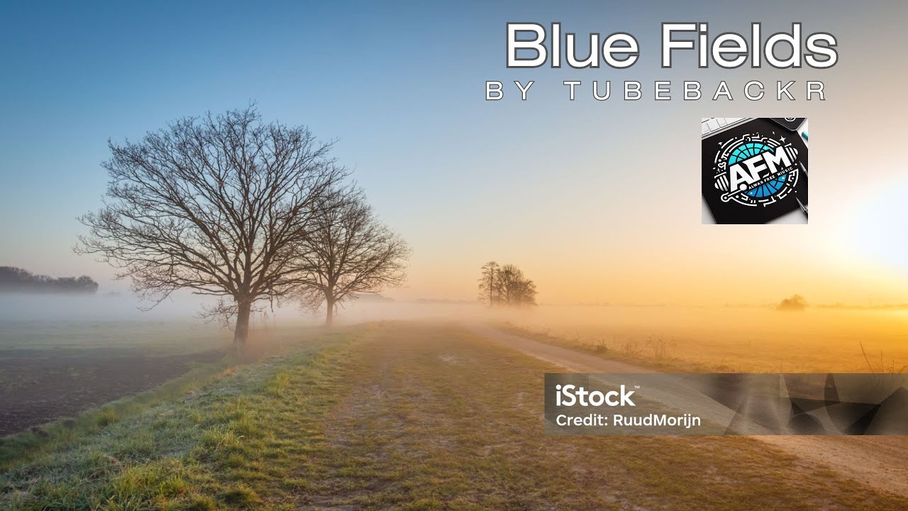 Blue Fields Tubebackr No Copyright Music рџћµ Youtube