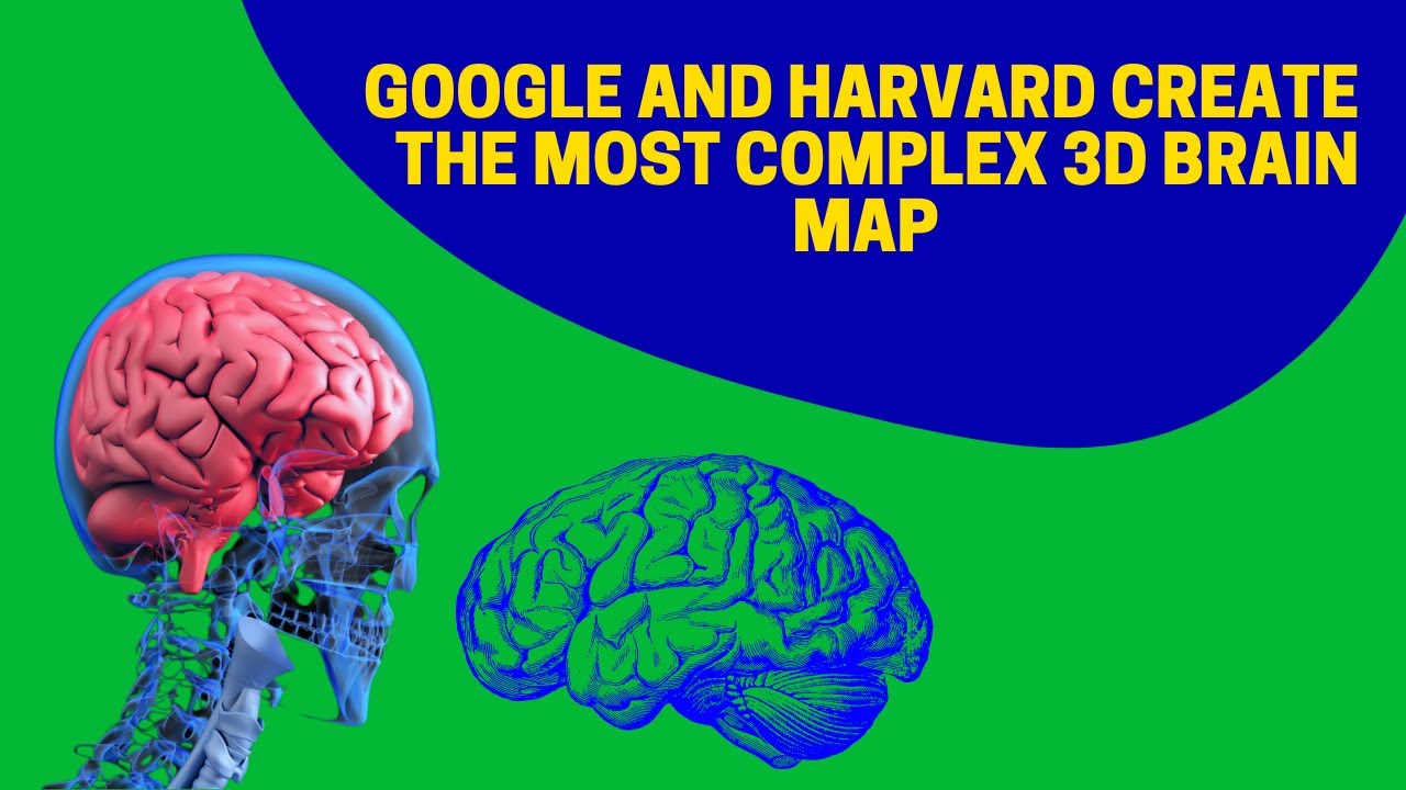 Google And Harvard Create The Most Complex 3d Brain Map Youtube