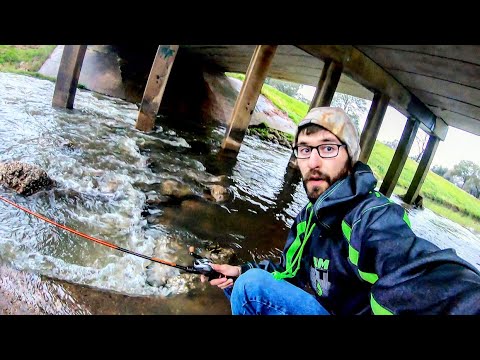Extreme Flooding Means Huge Fish Youtube