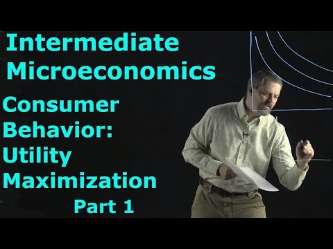Intermediate Microeconomics Consumer Behavior Part 1 Transcript