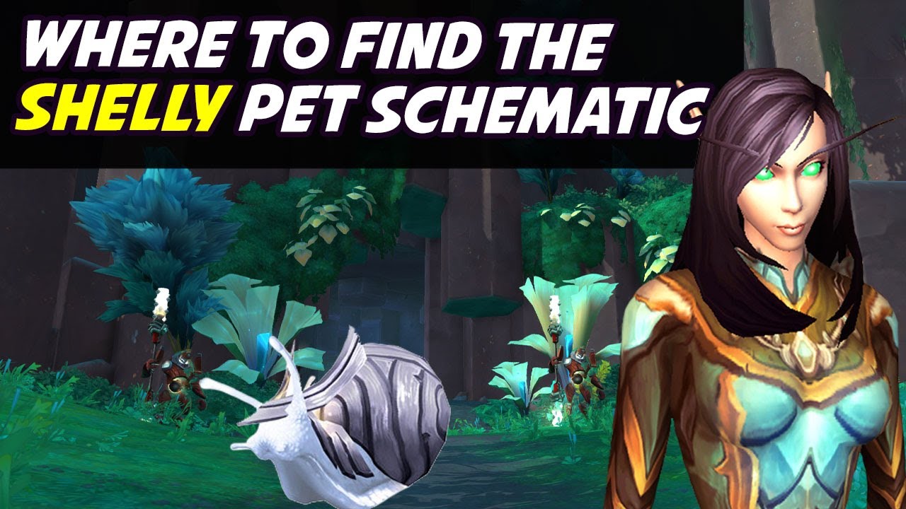 Shelly Location Pet Schematic Youtube