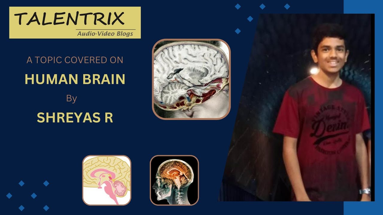 Human Brain Youtube