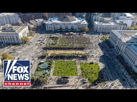 Debunked Inside The No Kings Protests Video Me