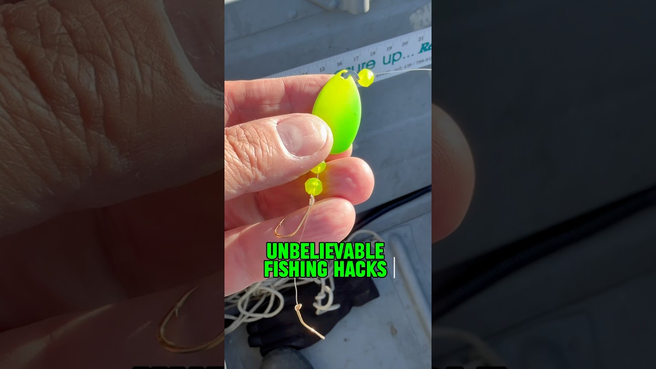 These Unbelievable Fishing Hacks Actually Work Shorts Fishing