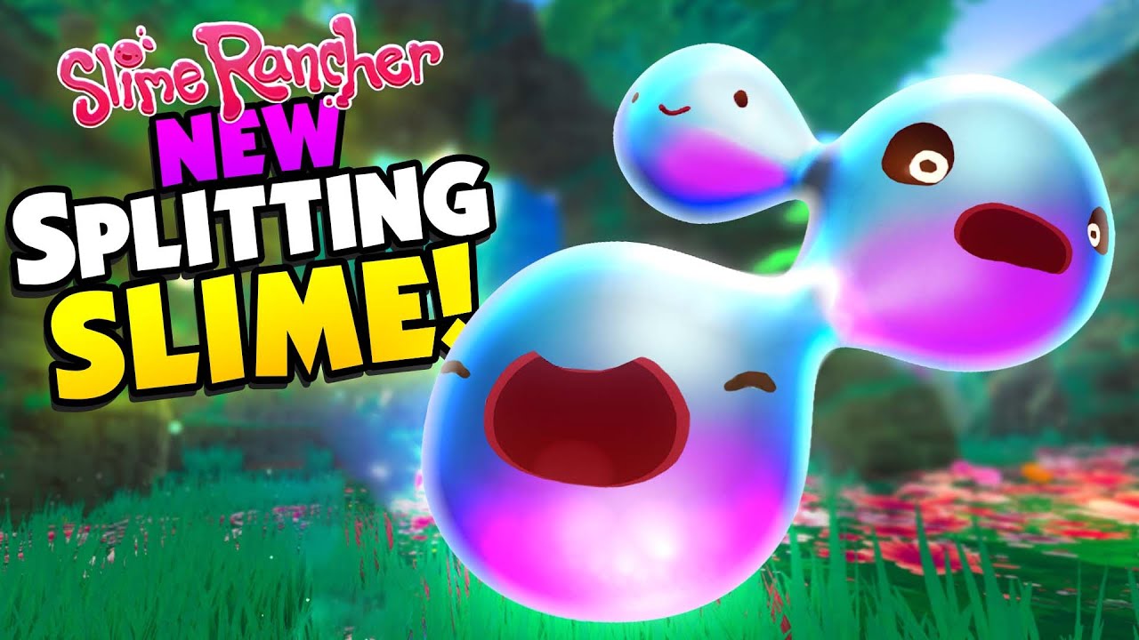 New Splitter Slime Multiplies When Angry Slime Rancher Mods Youtube