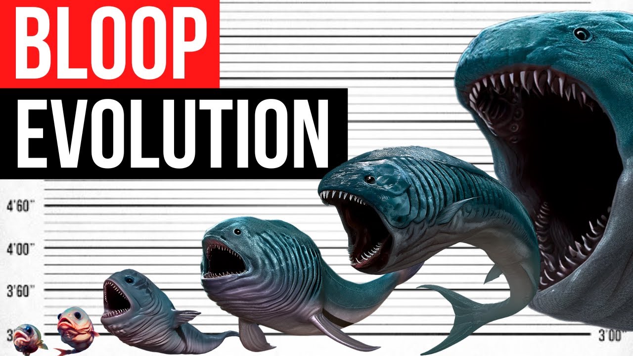 Evolution Of Bloop Life Cycle Youtube