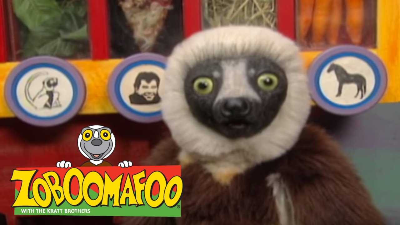 Zoboomafoo Episodes