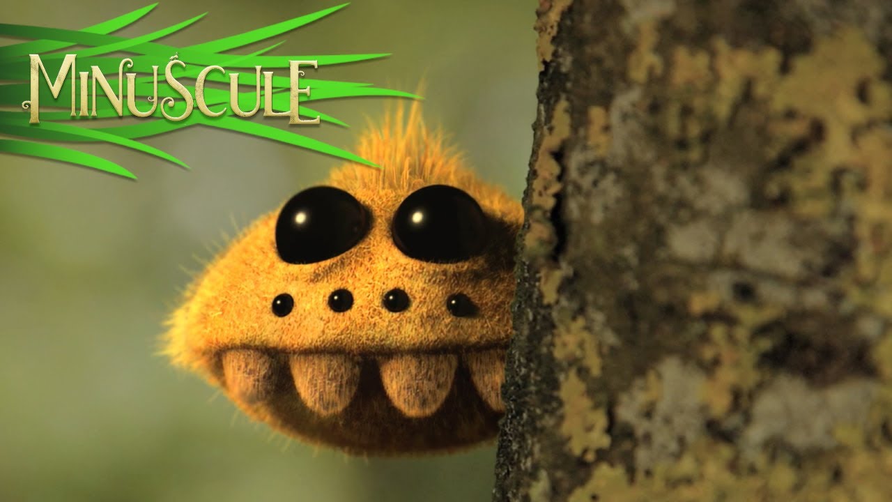 Minuscule Compilation 3 Youtube