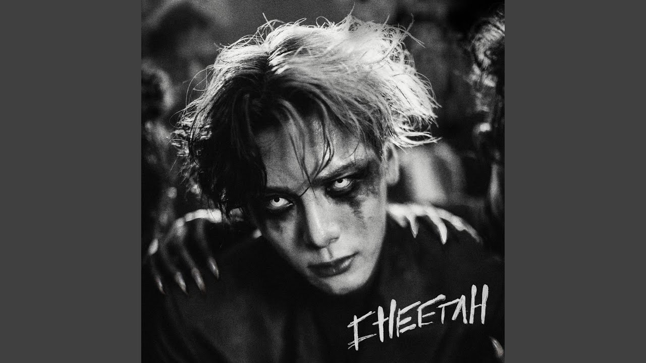 Cheetah Youtube Music