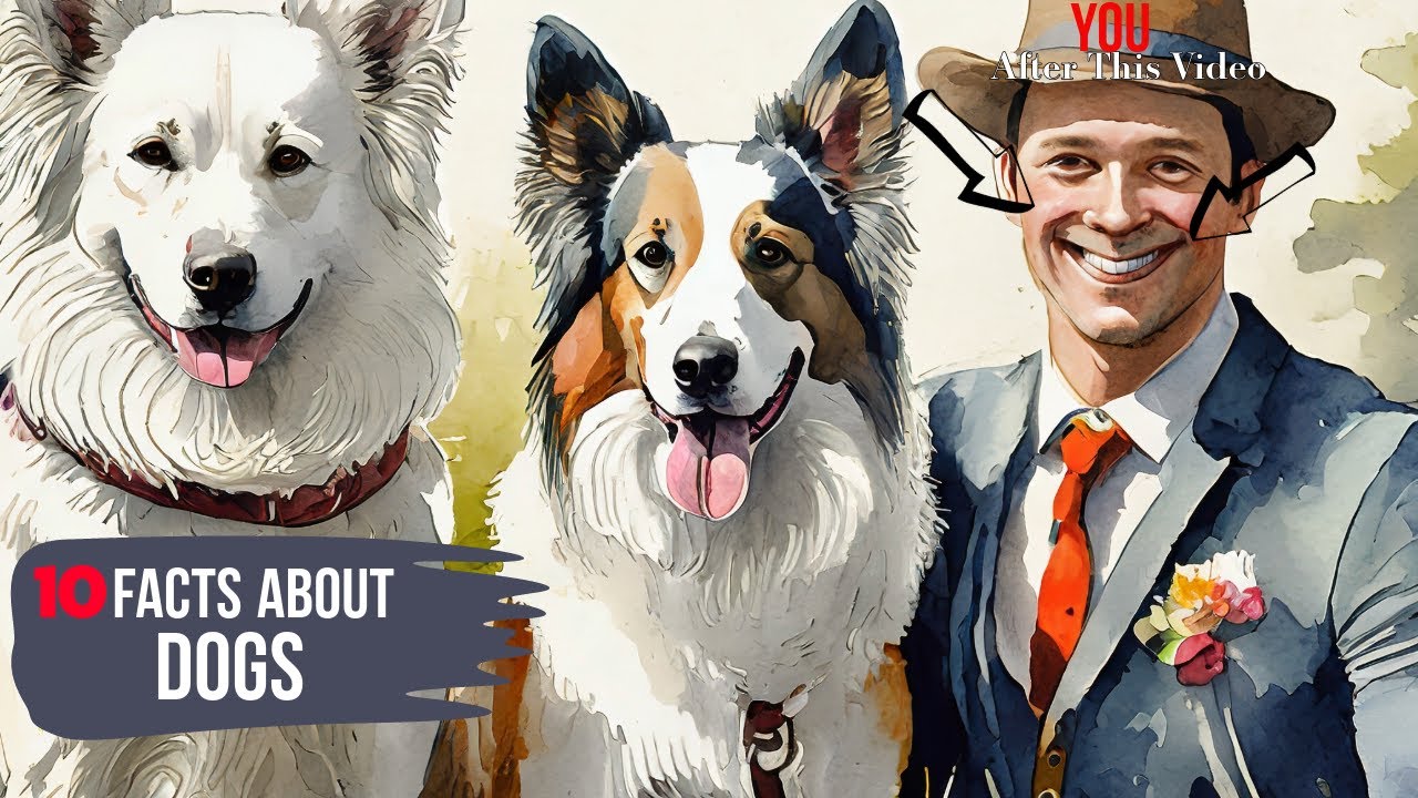 10 Facts About Dogs You Need To Know Youtube