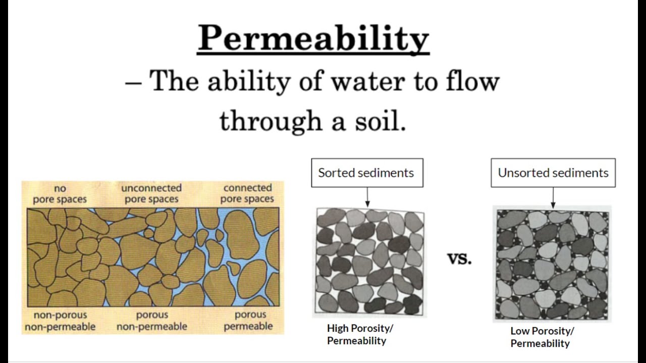 Porosity Versus Permeability Se Combined Numerical And Experimental