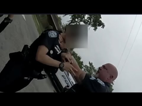 Dumb Cops That Ruined Their Careers In Seconds Youtube