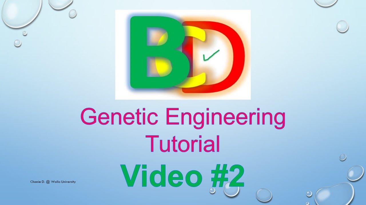 Genetic Engineering Tutorial Video 2 Exit Exam Practice Youtube