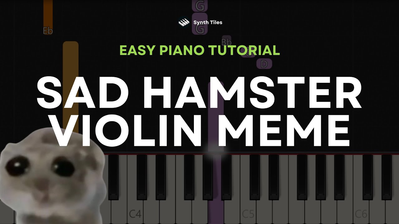 Sad Hamster Violin Meme Easy Piano Tutorial By St Chords Chordify
