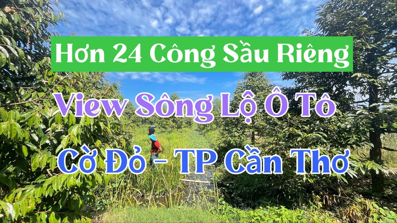 Video Output 67046bdd Ca3c 45c1 B605 905b49ed944a Youtube