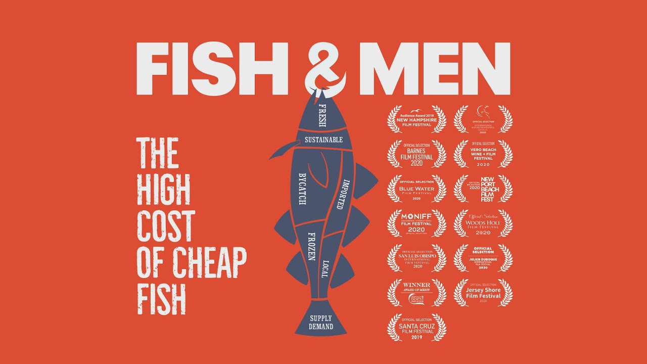 Fish Men Official Trailer Youtube