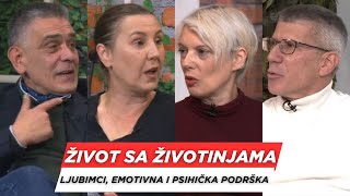 Posle Rucka Zivot Sa Zivotinjama Kucni Ljubimci Kao Emotivna I Psihicka ...