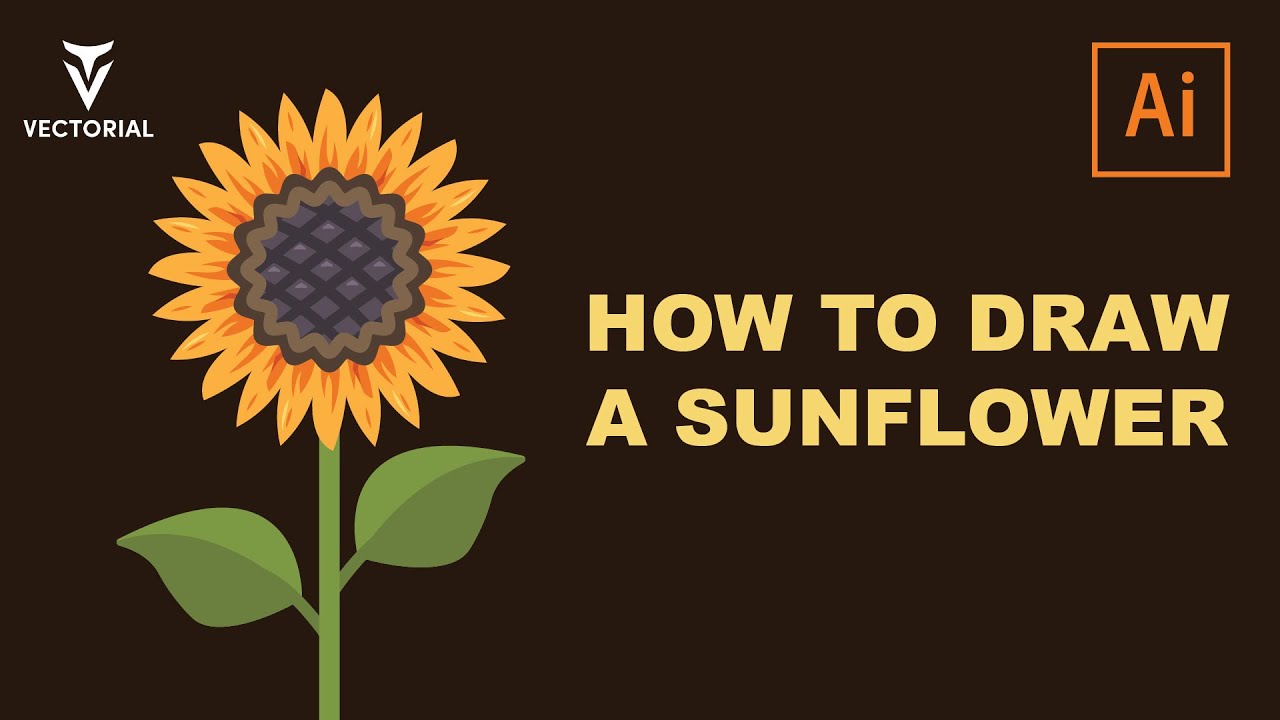 How To Draw A Sunflower In Adobe Illustrator Youtube