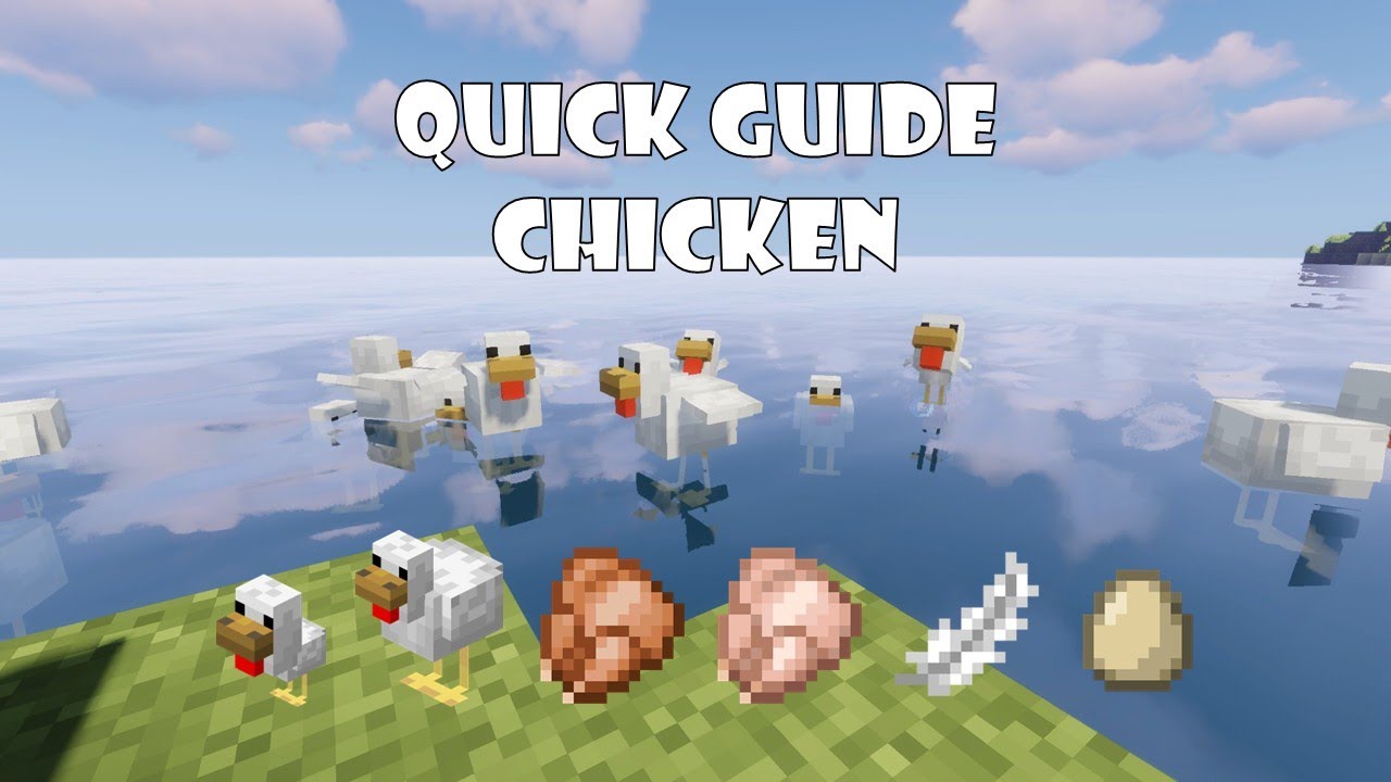 Chickens Quick Guide For Minecraft Youtube