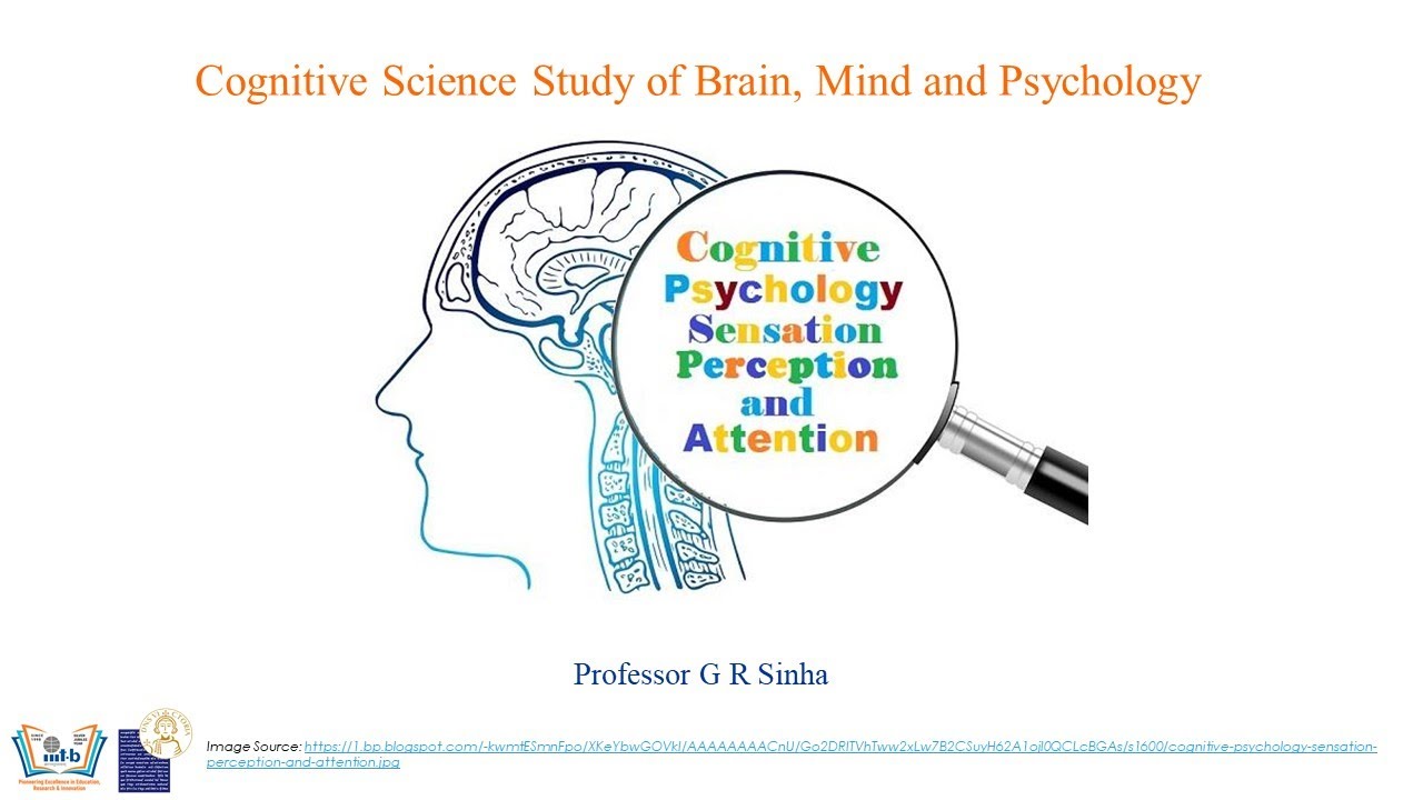 Cognitive Psychology Brain