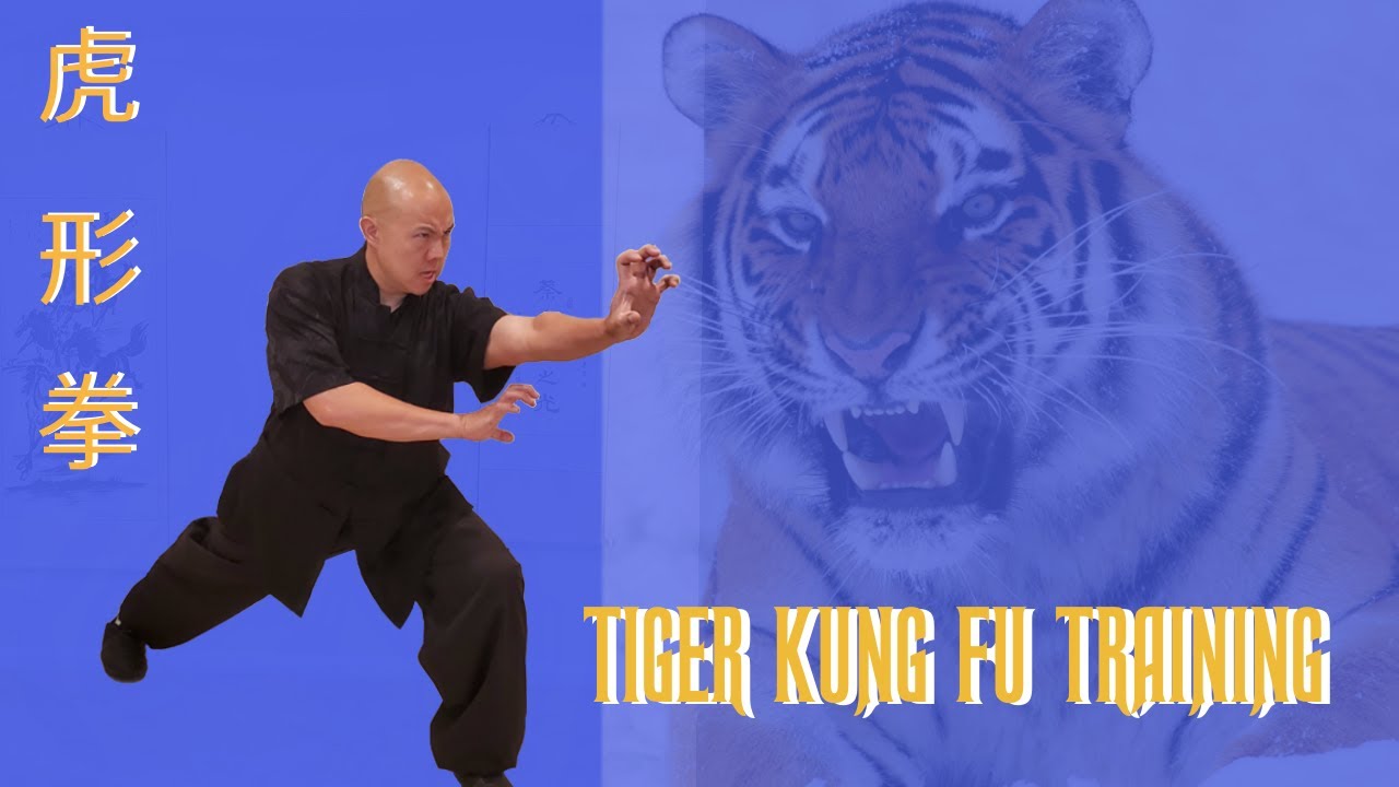 Is Tiger Style Kung Fu Effective At Bethany Knibbs Blog
