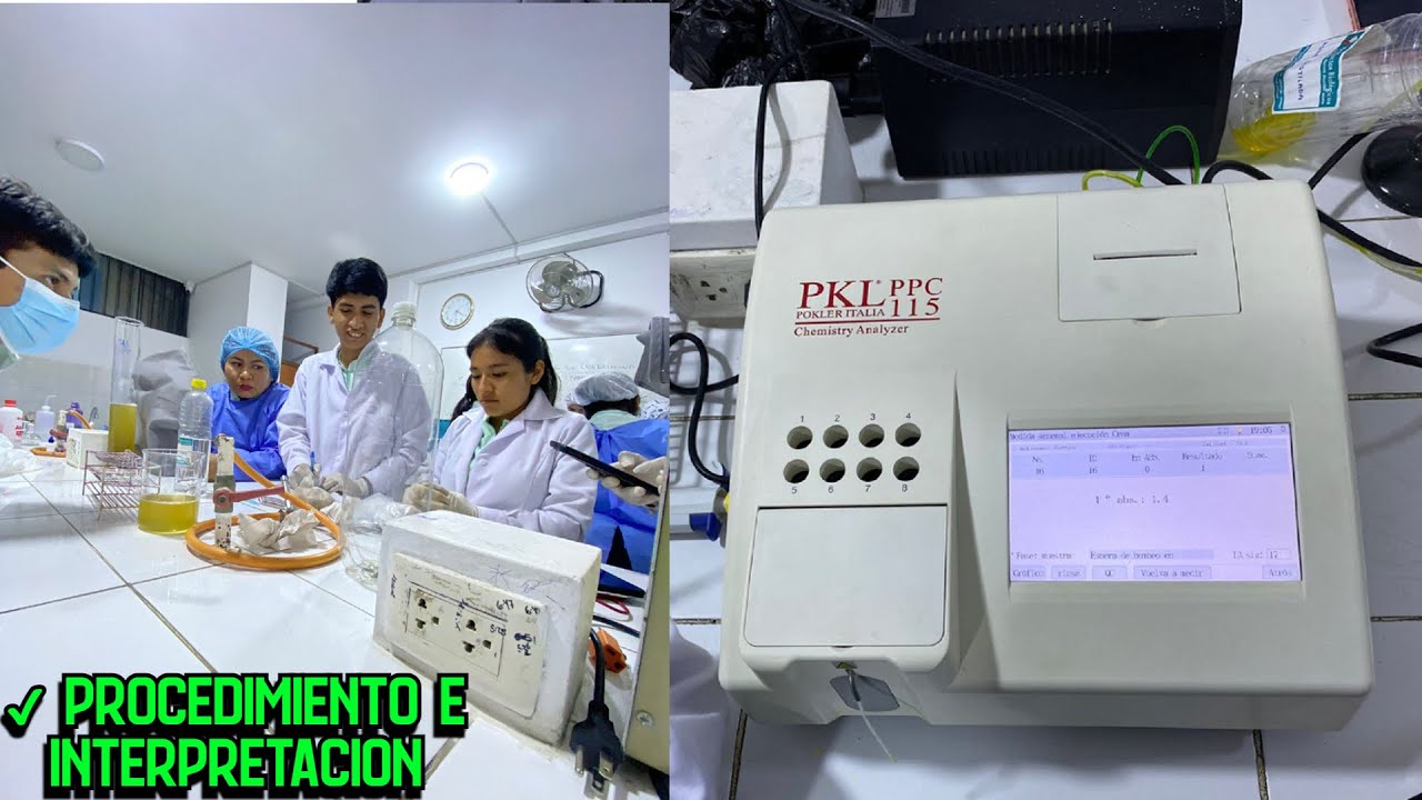 Programando Insertos De Bioquímica Pasos Clave Para La Interpretación