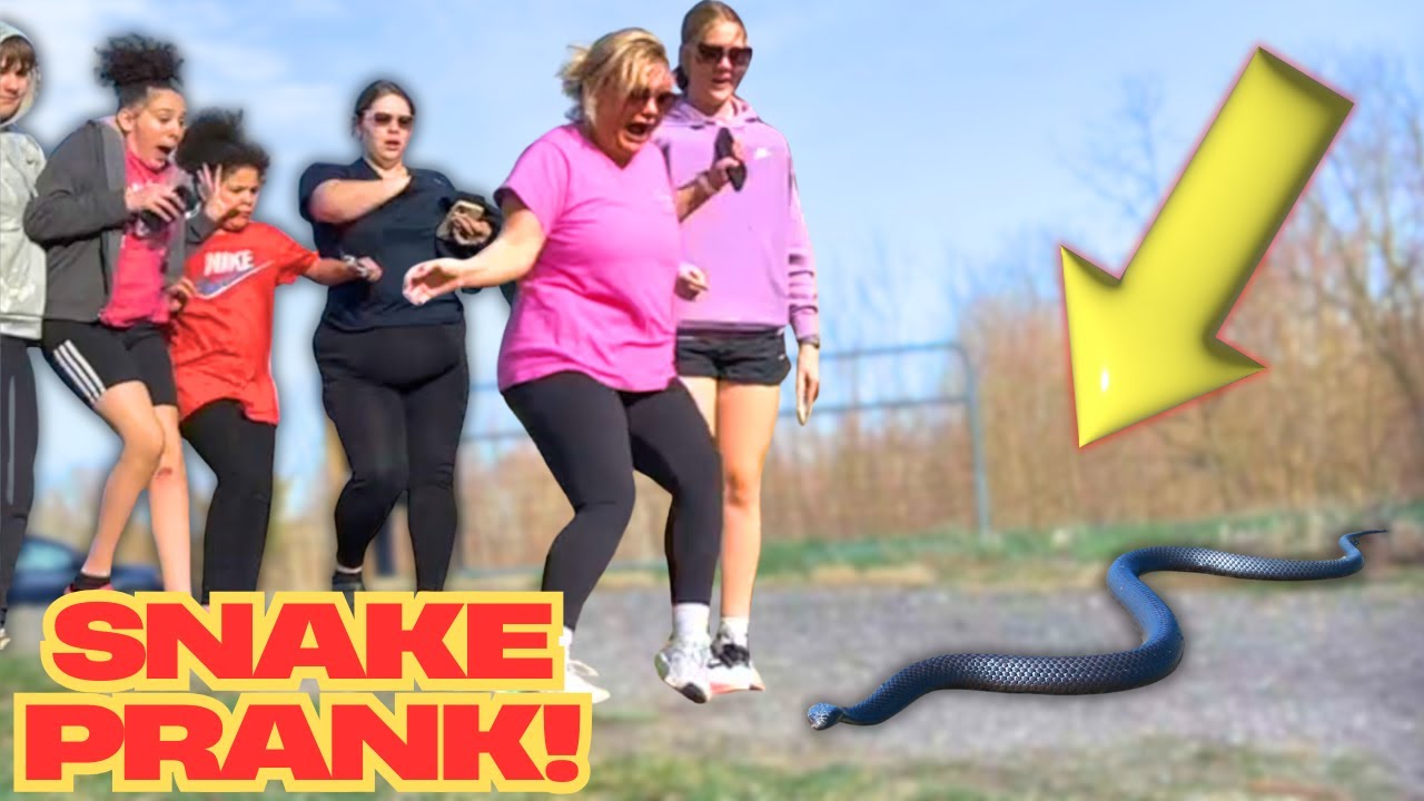 Funny Snake Prank Youtube