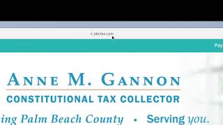 How To Renew Your Car Registration Online In Palm Beach County Tom ...