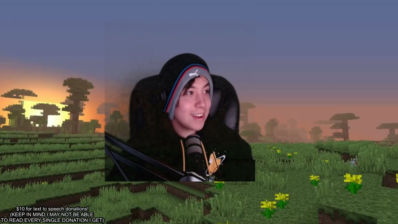 Late Night Stream Quackitytoo Vod Youtube