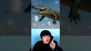 Italian Brainrot Patrol Speed Mcqueen Mp3 Mp4 Download Clip Africa