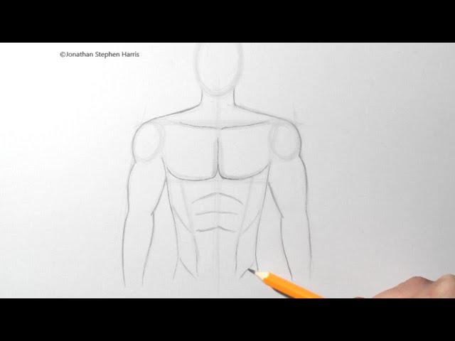 How To Draw A Male Torso Body For Beginners Videos For Kids