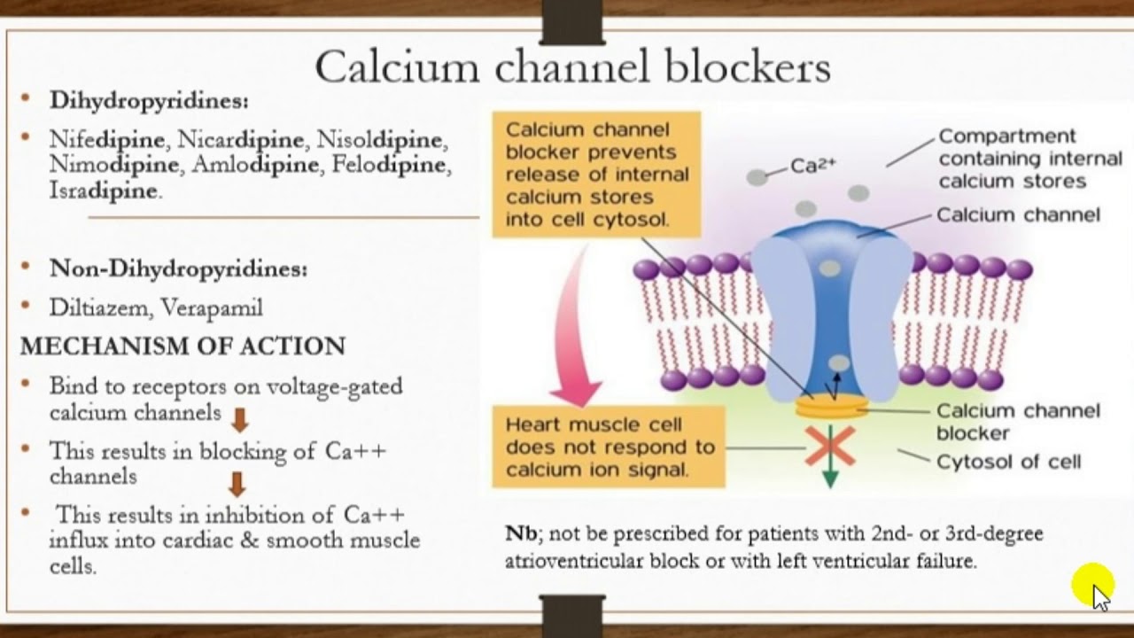 Calcium Channel Blockers Drugs