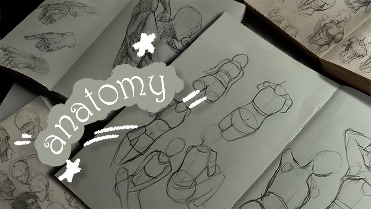 How I Practice Drawing Anatomy Figure Studies Youtube
