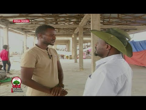 Obn Caamsaa 03 2011 Oduu Guyyaa Youtube