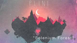 Plini Selenium Forest Audio Chords Chordify