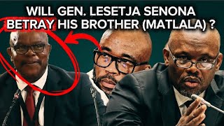 Why General Senona S Testimony Could Expose The Entire Cartel Network ...