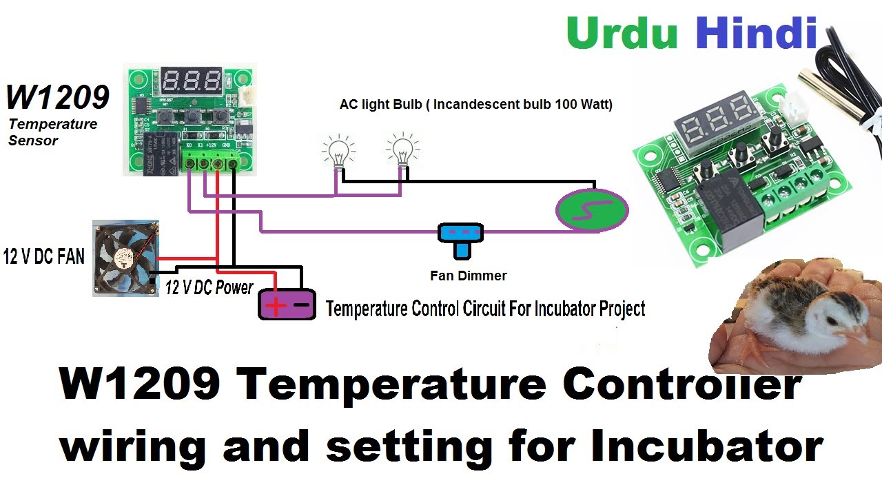 W1209 Temperature Controller Setup At Alma Jones Blog