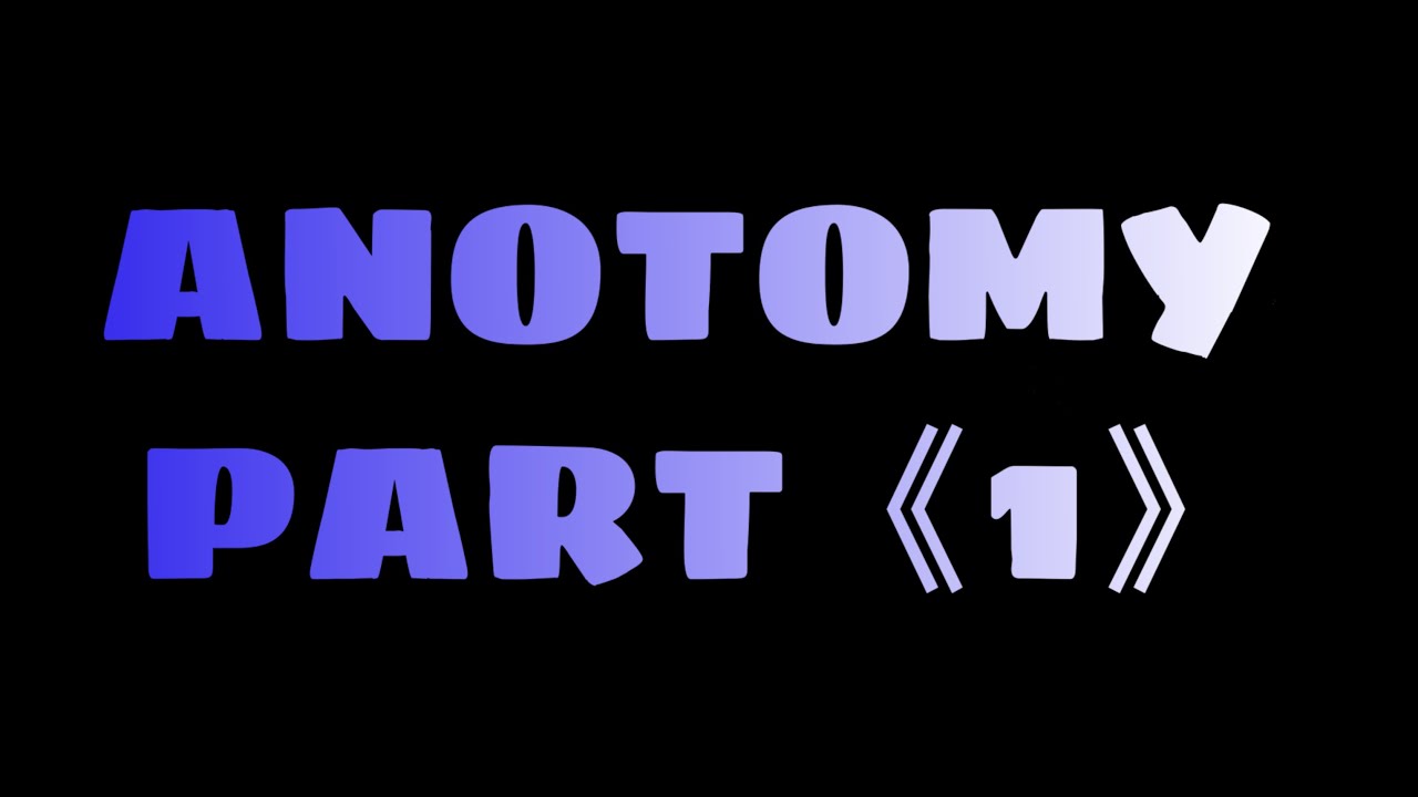 Anatomy Part 1 Youtube