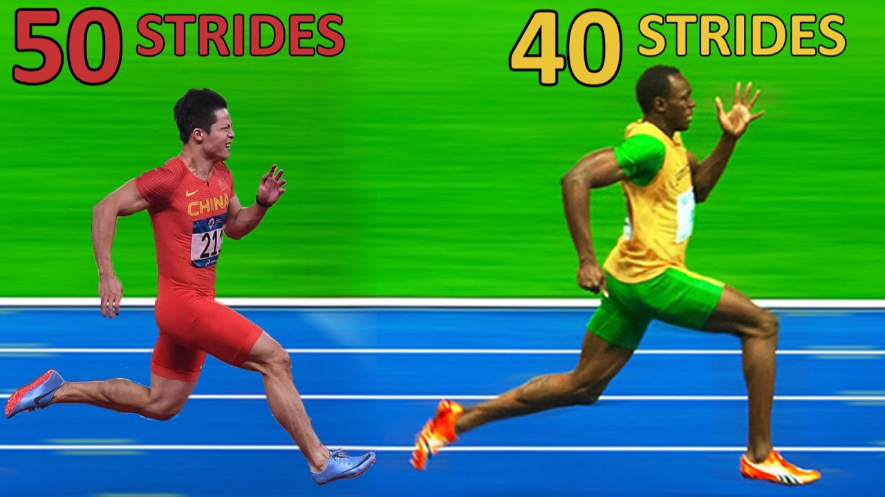 Sprinter Legs Vs Distance Legs At Dawn Boykins Blog