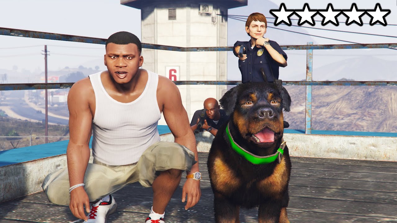 Can Franklin Save Chop From Prison In Gta 5 Youtube