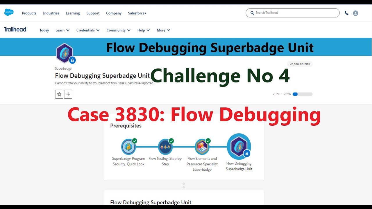 Flow Debugging Superbadge Unit Challenge No 4 Case 3830 Flow